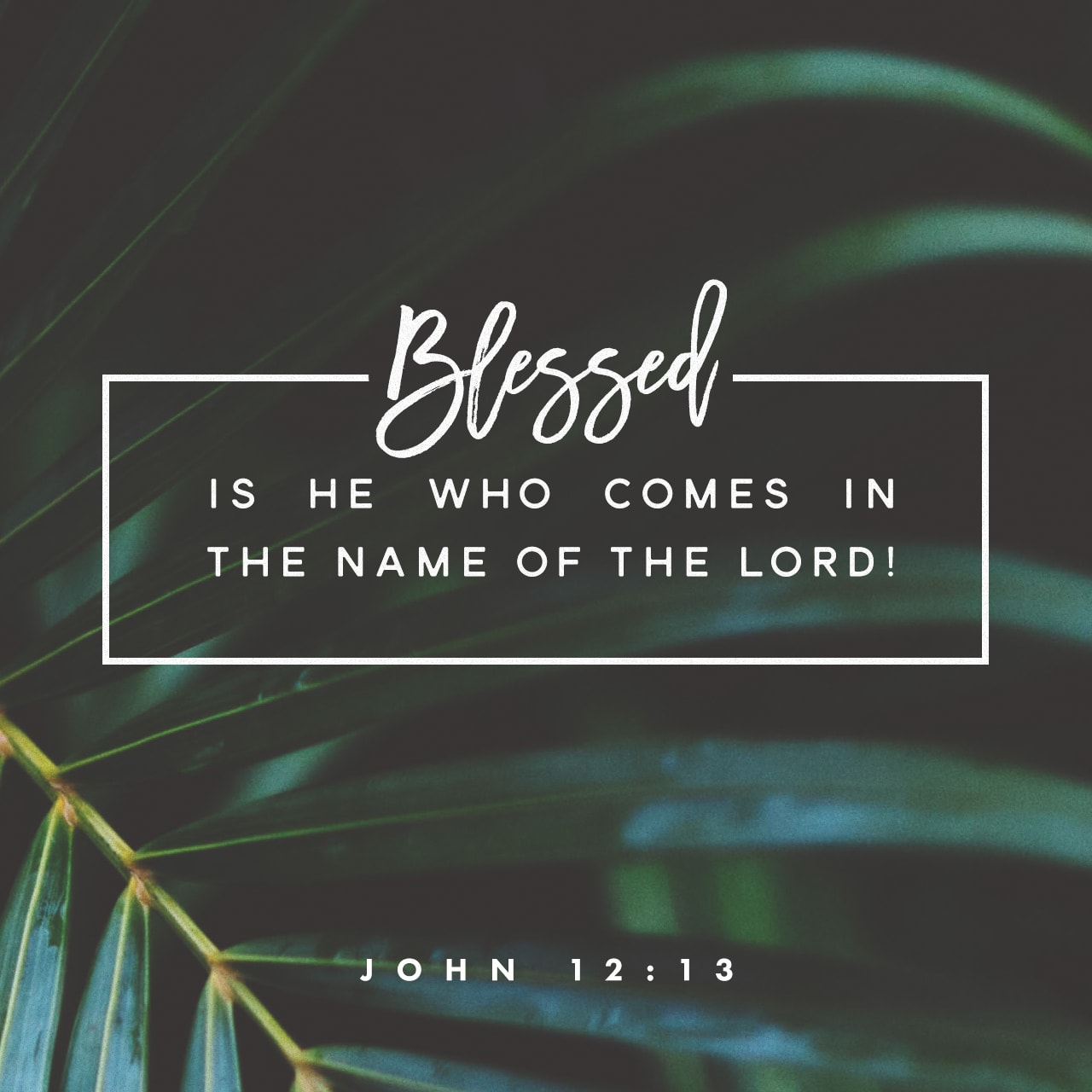 John 12 13 Creative Scripture Art Free Church Resources From Life