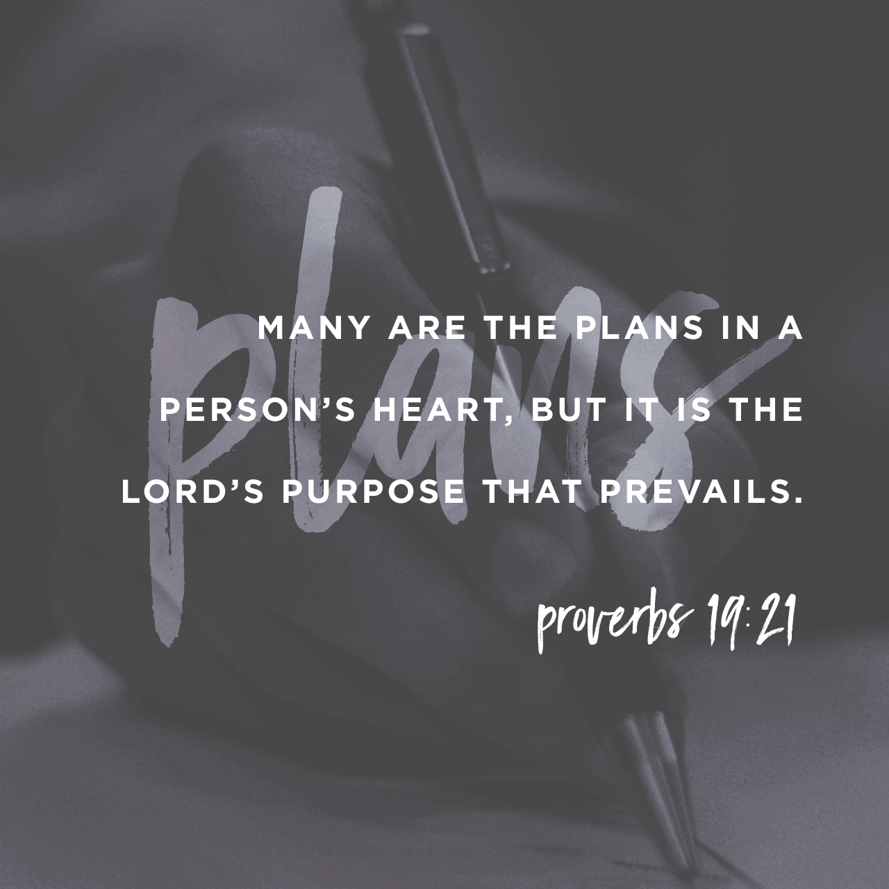 Rachel s Samford Blog Rachel s Samford Blog
