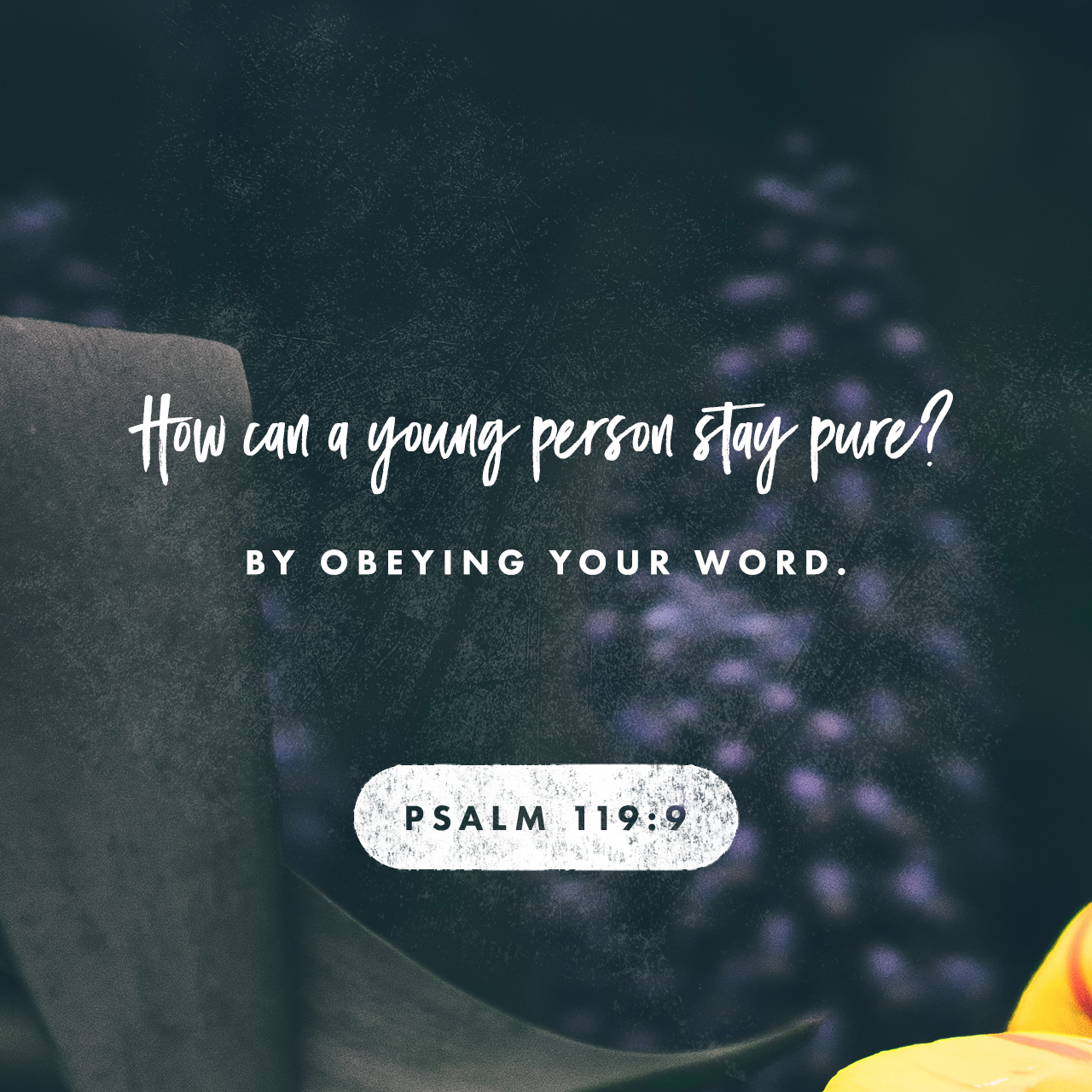 Psalm 119 9 16 Message WrysYasmen
